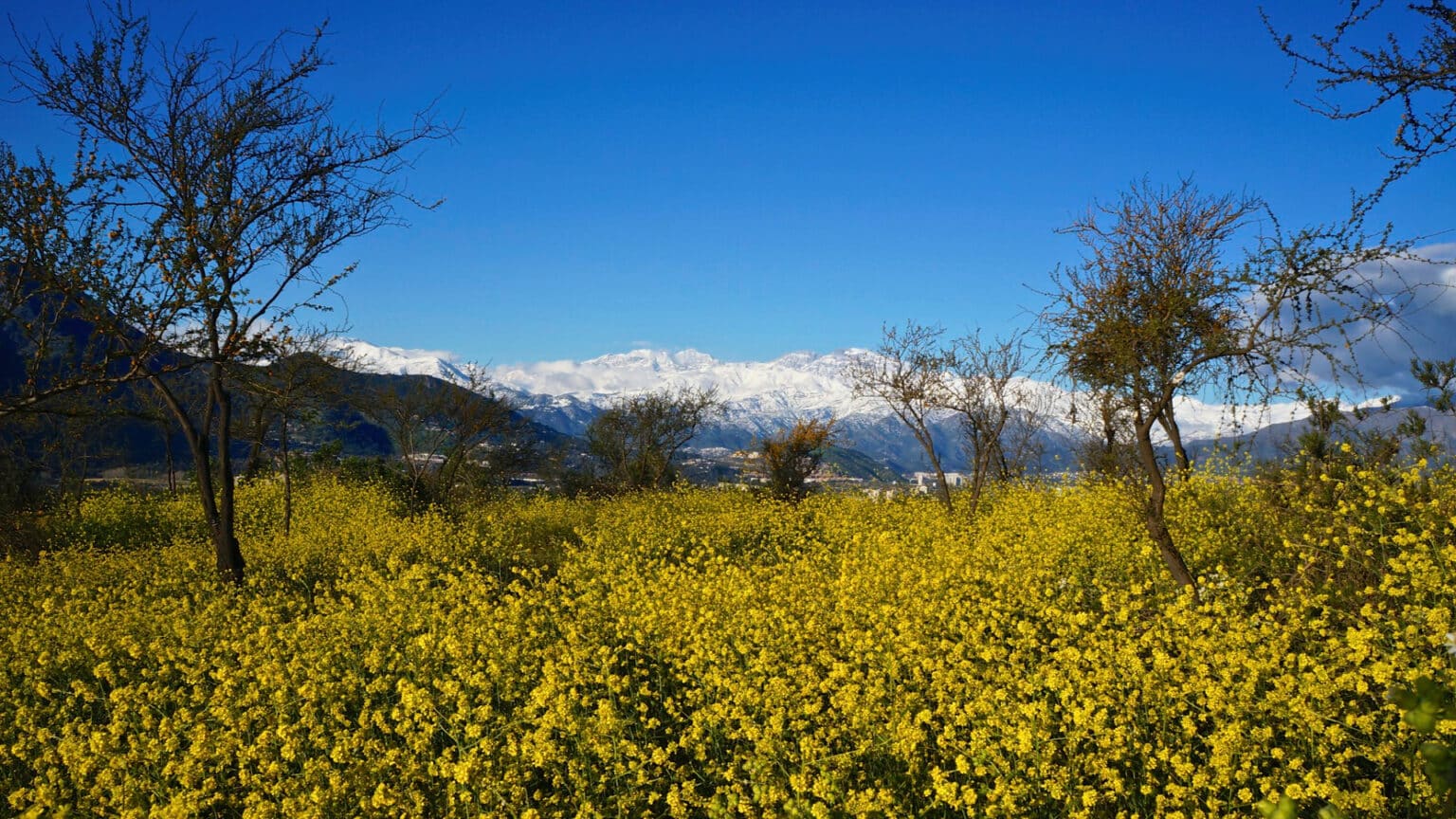 Chile em outubro: descubra suas maravilhas na primavera